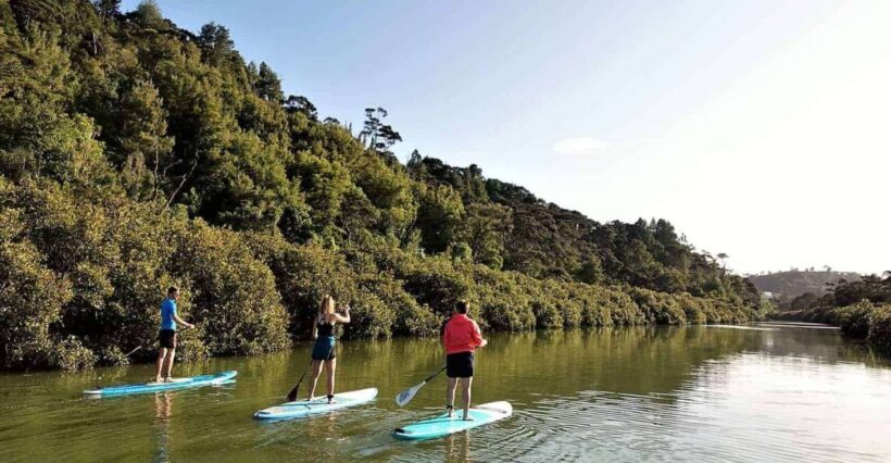 Lucas Creek Waterfall SuP Tour - Exploring Albany’s Waterways on a Stand-Up Paddleboard