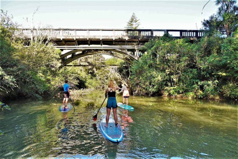 Lucas Creek Waterfall SuP Tour - The Sum Up