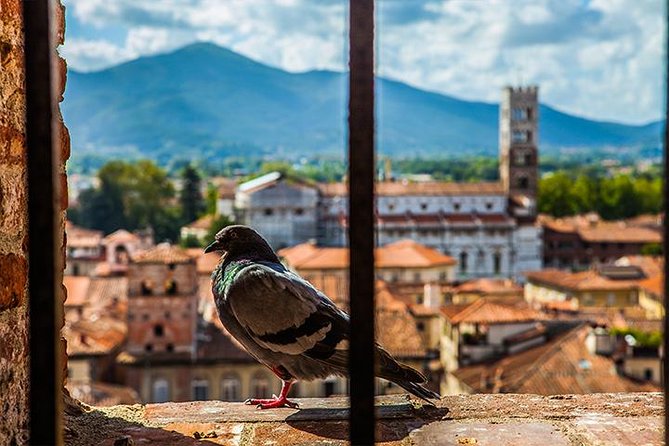 Lucca and Pisa Day Tour From Rome - Meeting and Pickup
