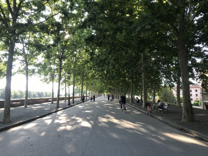 Lucca: City Bike One-Day Rental - Why Ride a Bike in Lucca?
