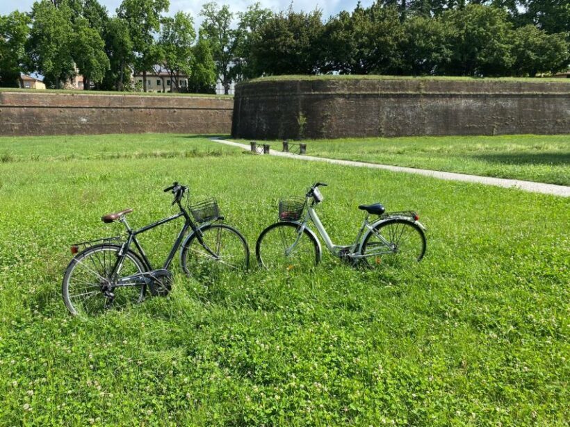 Lucca: City Bike One-Day Rental - What to Expect from Your Bike Rental Experience