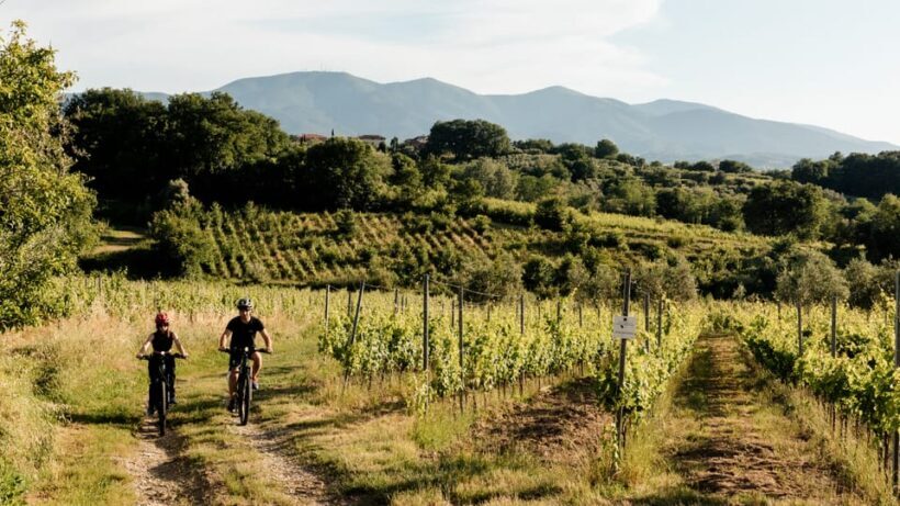 LUCCA: EBIKE TOUR WITH LUNCH AND WINE TASTING - Key Points