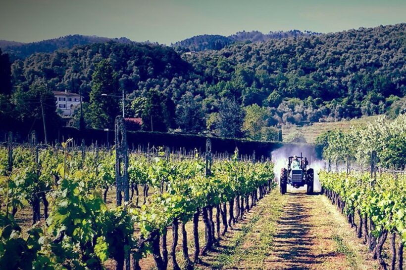 Lucca: Guided E-Bike and Wine Tour - Discovering Lucca: Guided E-Bike and Wine Tour