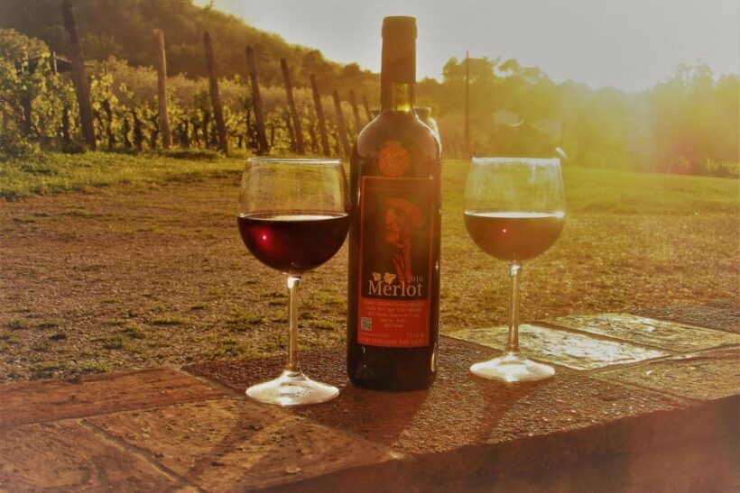 Lucca: Guided E-Bike and Wine Tour - The Sum Up