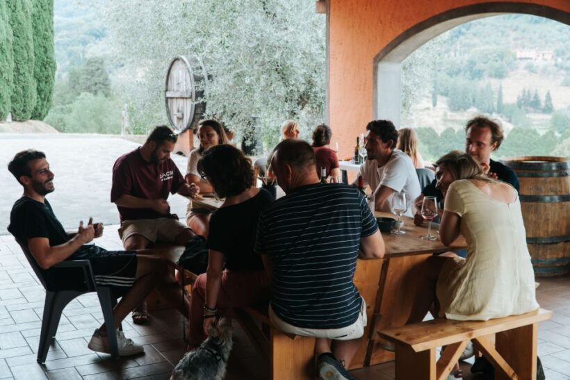 Lucca: Guided Winery Tour with Wine Tasting - Key Points