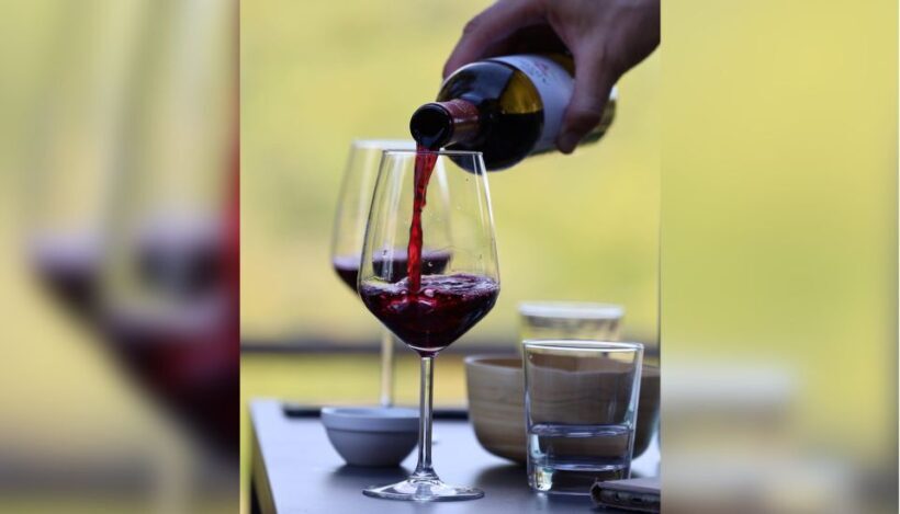 Lucca: Guided Winery Tour with Wine Tasting - What You Can Expect from the Tour