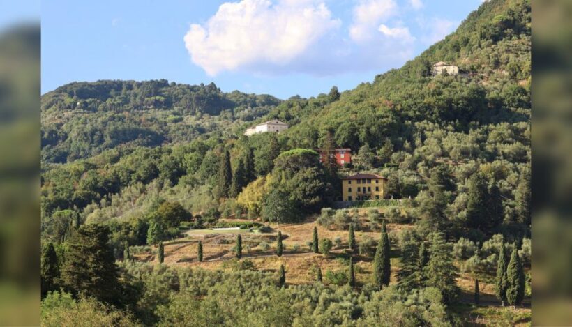 Lucca: Guided Winery Tour with Wine Tasting - Practical Details for Travelers