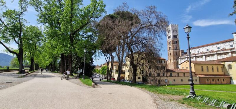 Lucca: private tour of center, San Martino and San Frediano - Key Points