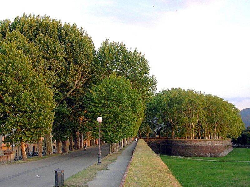 Lucca Sightseeing Tour by E-bike or City bike - Practical Tips for Future Riders