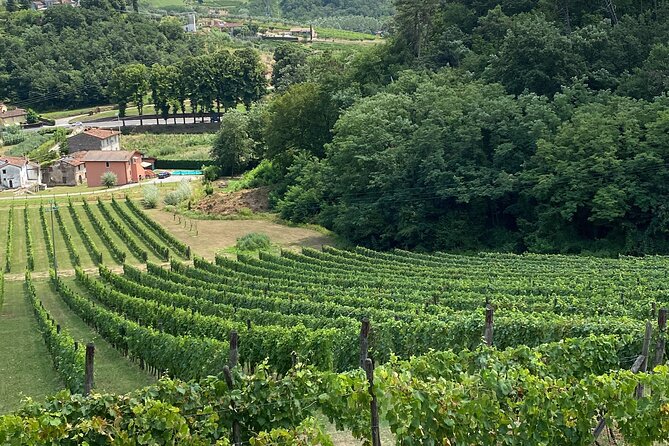 Lucca Tour and Pisa Tower + WineTasting by van from La SpeziaPort - The Sum Up: Why This Tour Offers a Genuine Taste of Tuscany