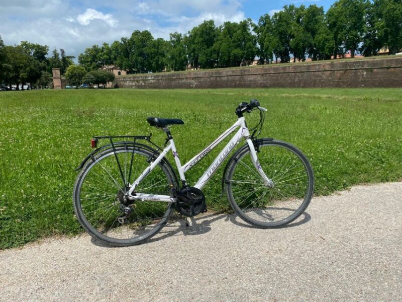 Lucca: Trekking Bike Rental - Key Points