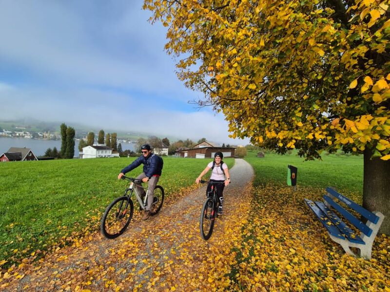 Lucerne: 2-Day Hike and Bike Combo Tour With Lake Cruise - Highlights of the Bike Tour
