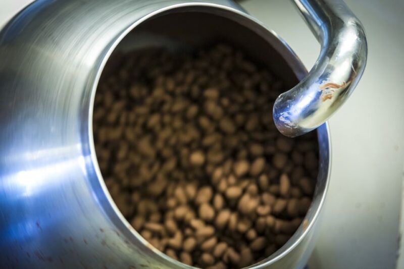 Lucerne: Chocolate Tasting With Lake Trip and City Tour - Chocolate Tasting Experience