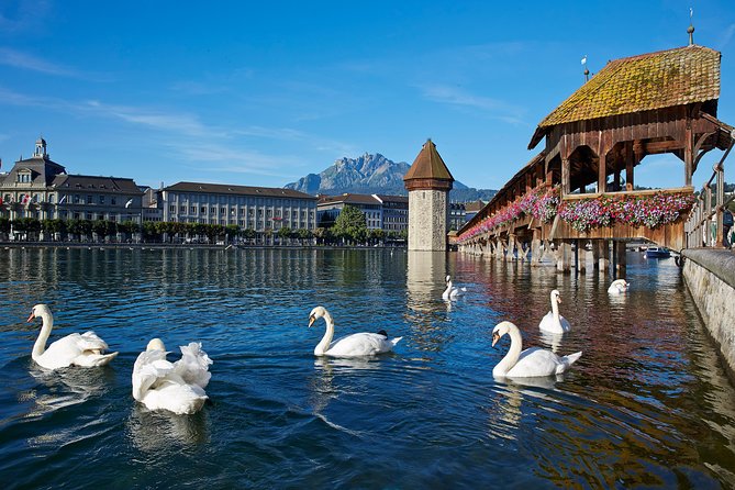 Lucerne Day Trip From Zurich Including Lake Lucerne Cruise - Highlights of the Itinerary