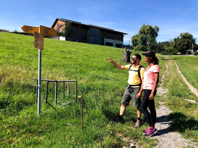 Lucerne: Farm Tour and Cheese Tasting - Key Points