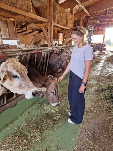 Lucerne: Farm Tour and Cheese Tasting - Tasting Locally Produced Swiss Cheese