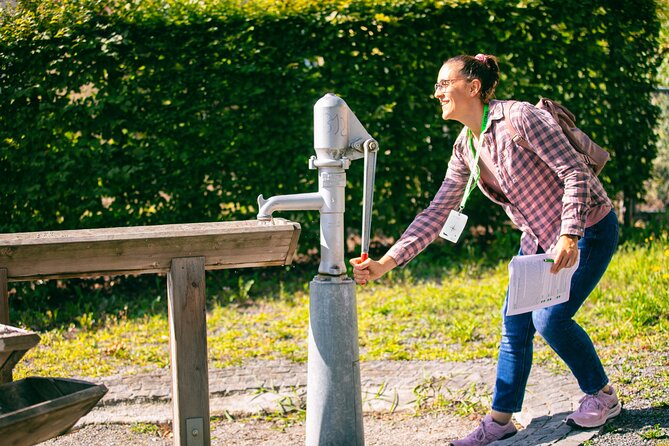 Lucerne Foxtrail Apollon - FAQs