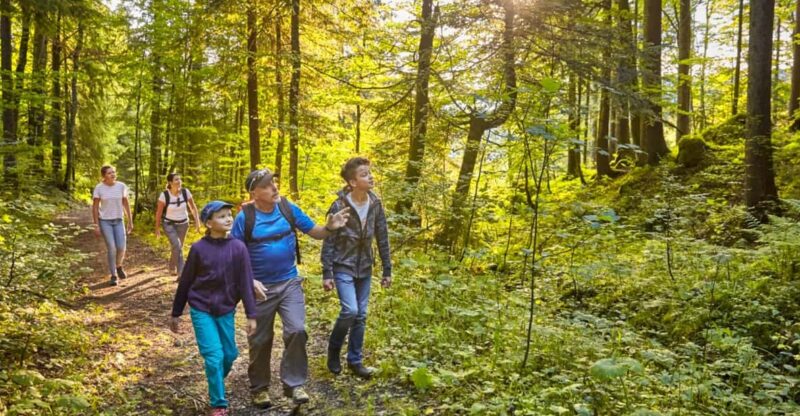 Lucerne: Guided Hike on the Pilatus With Barbecue Experience - Since You Asked