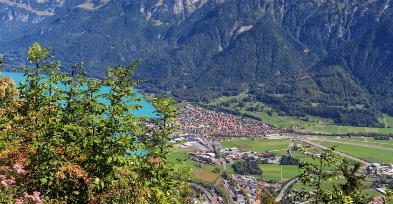 Lucerne: Interlaken & Grindelwald Exclusive Private Day Tour - Customer Feedback and Recommendations