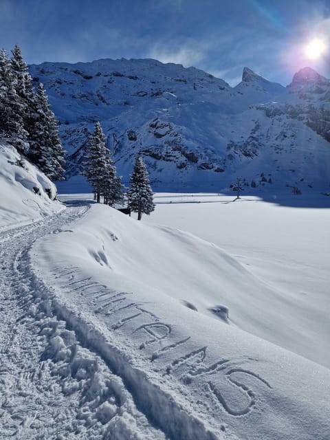 Lucerne: Private Snowshoe Tour - Guided Experience