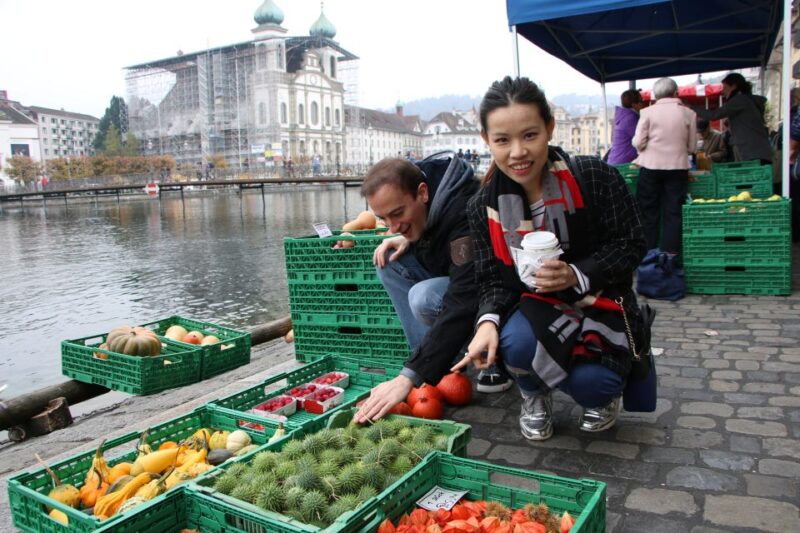 Lucerne: Private Walking Tour With a Local Guide - Discovering the Lion Monument