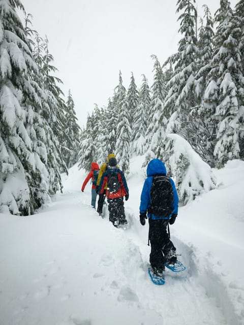 Lucerne: Snowshoe Hiking Adventure to Glaubenberg Langis - Highlights