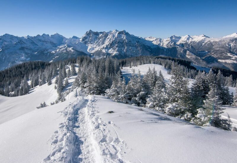 Lucerne: Snowshoe Hiking Adventure to Glaubenberg Langis - Since You Asked