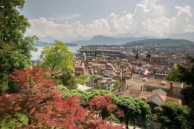 Lucerne Walking & Boat Tour: The Best Swiss Experience - The Price and Overall Value