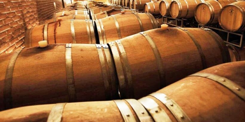 Lugana Wine Tour With Private Panoramic Boat on Lake Garda - Practical Details & Tips