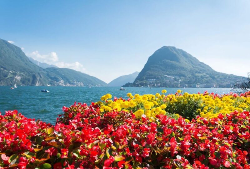 Lugano Highlights: A Guided Walking Adventure - Exploring Luganos Vibrant Neighborhoods