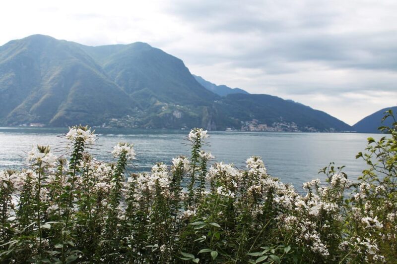 Lugano - Private Walking Tour - Cultural Experiences