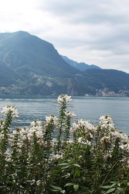Lugano - Private Walking Tour - Cathedral of Saint Lawrence