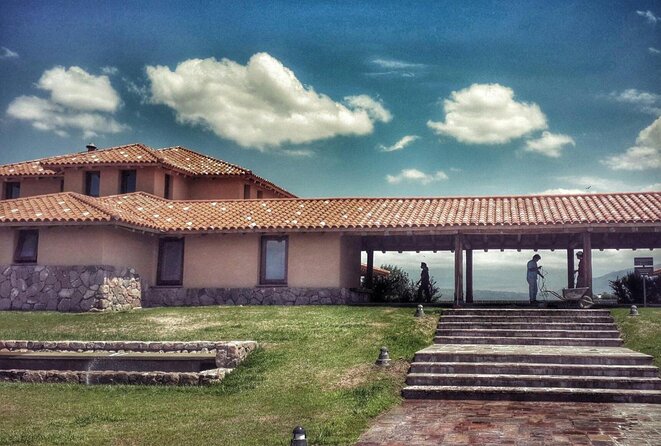 Lujan Deluxe - Full Day - Premium Wine Tour With Gourmet Lunch - Reasons to Book the Lujan Deluxe Wine Tour