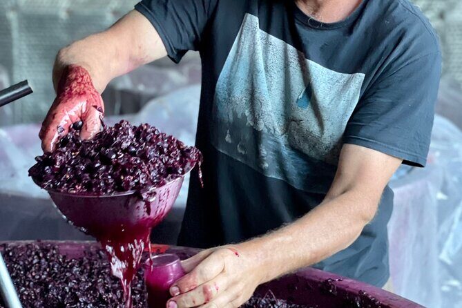 Luke's McLaren Vale Wine Tour - Who Is This Tour Best For?