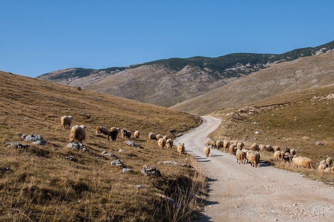 Lukomir Village Tour - From Sarajevo - The Hiking Experience and the First Stop