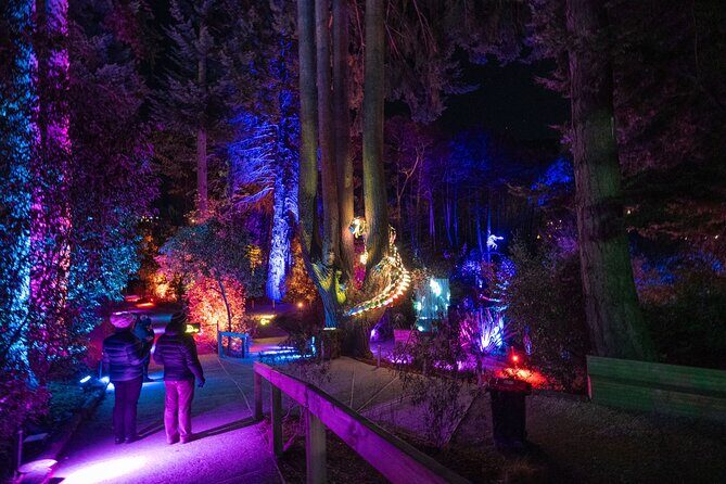 LUMA Enchanted Whimsical Sensory night walk - Key Points