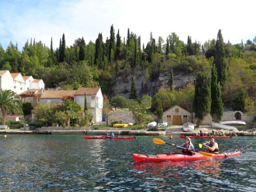 Lumbarda: Half-Day Kayaking and History with Wine delight - Introduction: Why This Tour Is Special