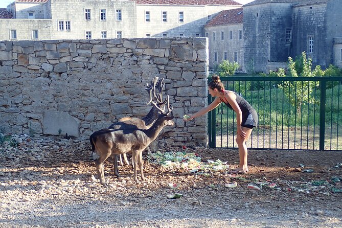 Lumbarda-Sunset Kayaking Experience With Picnic: Wine and Sweets - Inclusions and Accessibility