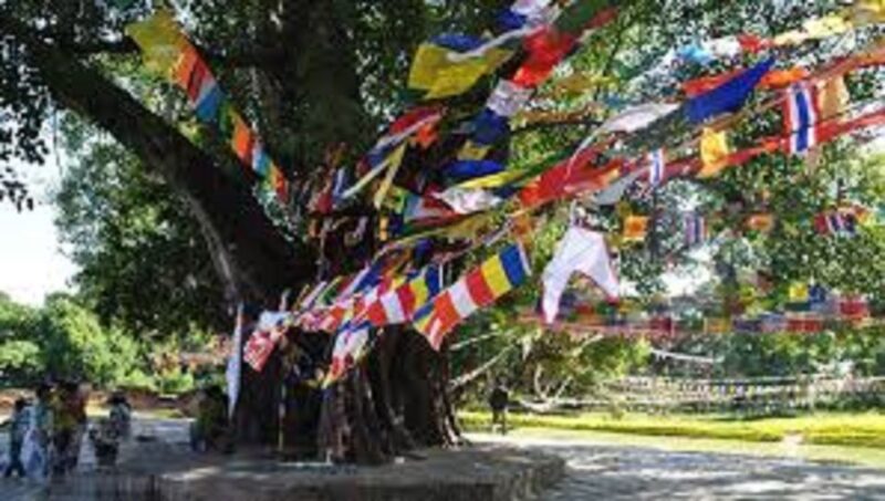 Lumbini Full day tour with Guide - Authentic Experiences from Fellow Travelers