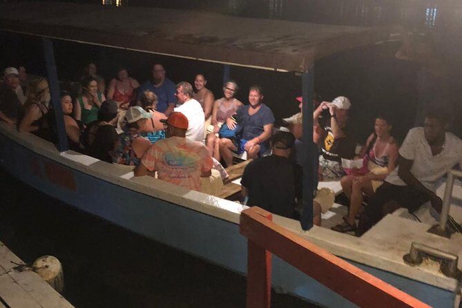 Luminous Lagoon After Dark Tour - Who Should Consider This Tour?