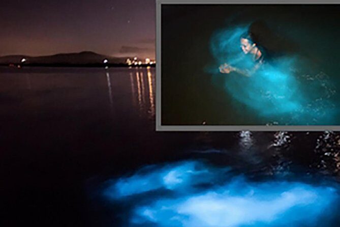 Luminous Lagoon and Glistening Water Tour from Montego Bay - Why This Tour is Worth Considering