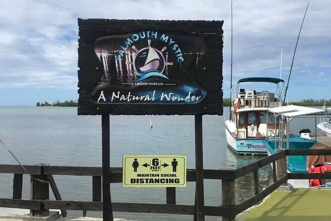 Luminous lagoon Dark night Tour from Ocho Rios and Runaway Bay Hotels - The Itinerary in Detail