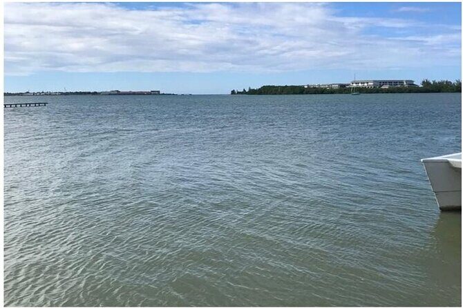 Luminous lagoon Dark night Tour from Ocho Rios and Runaway Bay Hotels - The Sum Up: Is This Tour Worth It?