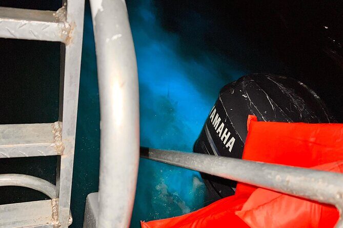 Luminous lagoon glistening waters evening tour - Frequently Asked Questions (FAQ)