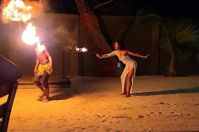 Luminous Lagoon (Glistening Waters) Night Tour - The Sum Up: Is This Tour Worth It?