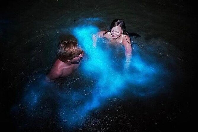 Luminous Lagoon "Glistening Waters" Tour from Falmouth - Luminous Lagoon "Glistening Waters" Tour from Falmouth: A Deep Dive into Jamaica’s Bioluminescence