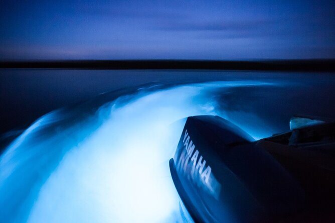 Luminous Lagoon "Glistening Waters" Tour from Falmouth - Practical Tips for Your Visit