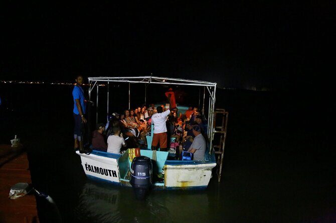 Luminous Lagoon Guided Tour In Montego Bay - Who Should Consider This Tour?