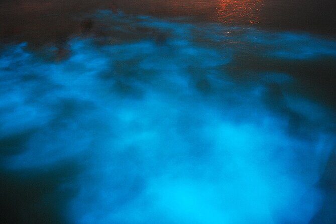 Luminous Lagoon Night Cruise From Montego Bay - An In-Depth Look at the Luminous Lagoon Night Cruise