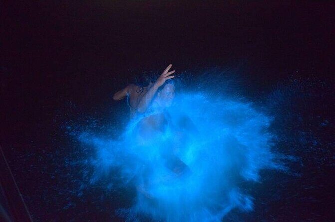 Luminous Lagoon Night Tour - Who Will Love This Tour?